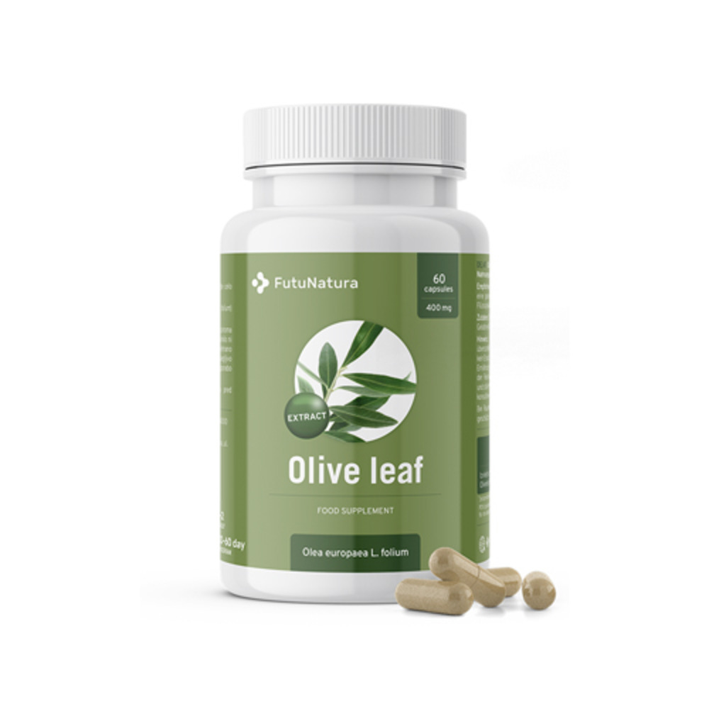Olive Leaf - Extract, 60 capsules